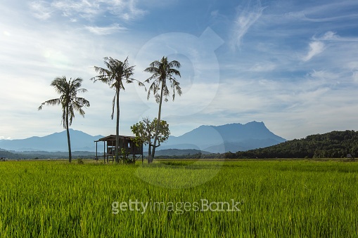 Sabah North Borneo Malaysian landscapes (490176078) - 게티이미지뱅크