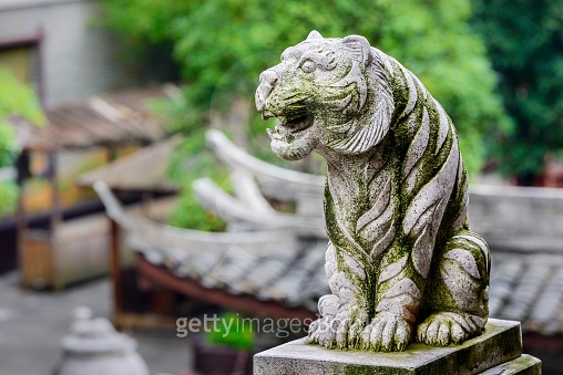 Stone tiger 이미지 (497573184) - 게티이미지뱅크