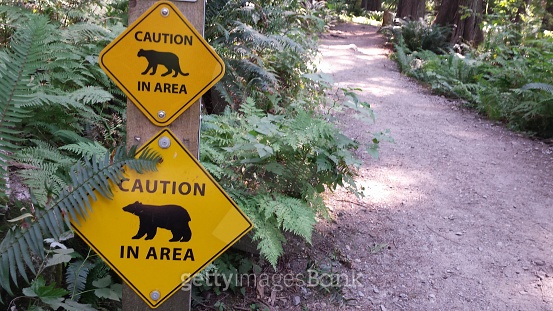 Predators in Area Warning Sign 이미지 (483225696) - 게티이미지뱅크