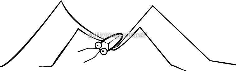 Coloring page water strider (488722008) 일러스트, 무료 일러스트 - 게티이미지뱅크