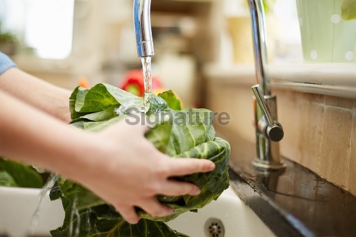 Close-up of woman washing cabbage in kitchen 이미지 (478312218) - 게티이미지뱅크