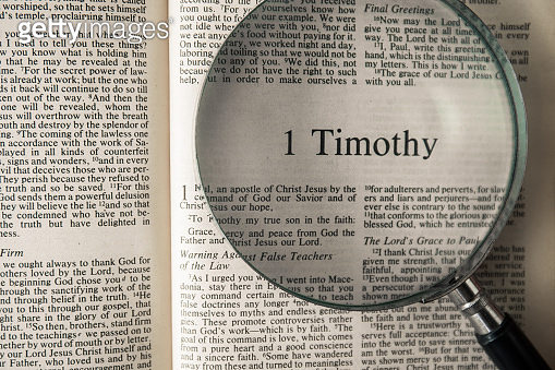 the book of 1 Timothy Reading The New International Version (471727488 ...