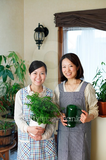 Japanese Sisters 이미지 479971664 게티이미지뱅크 