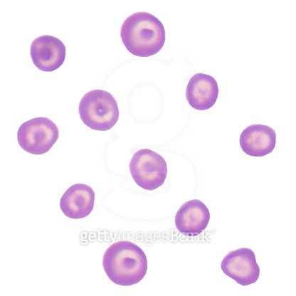 Target cells 이미지 (490799034) - 게티이미지뱅크