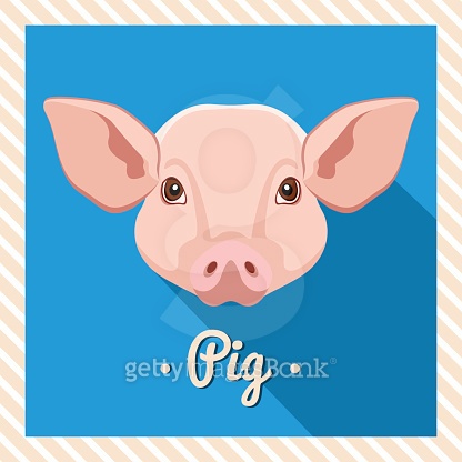 Vector portrait of a pink pig. Symmetrical portraits of animals. 이미지 ...
