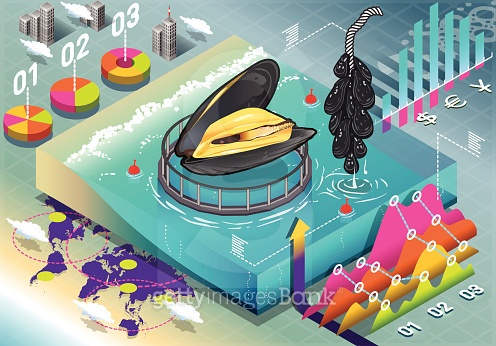 Isometric Infographic of Mussels Breeding 이미지 (468322194) - 게티이미지뱅크