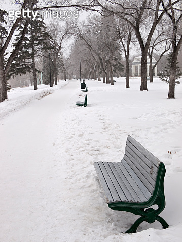 Winter in Downtown Saskatoon Park 이미지 (471150695) - 게티이미지뱅크