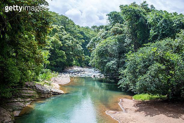 Flowing River in Rain Forrest of Costa Rica 이미지 (472151350) - 게티이미지뱅크