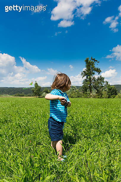 Little boy flying his toy kite in a meadow (501549183) - 게티이미지뱅크
