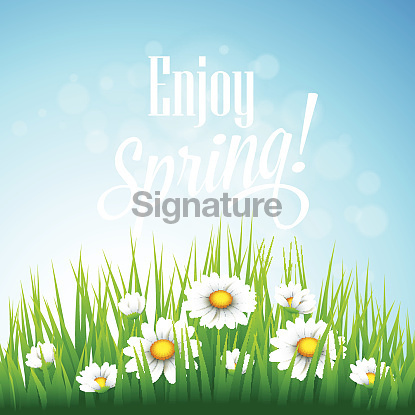 Enjoy Spring graphic with green grass and spring flowers 이미지 (466069206 ...