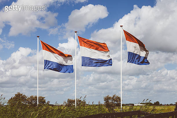 Waving dutch flags in a windy cloudy day 이미지 (484713432) - 게티이미지뱅크