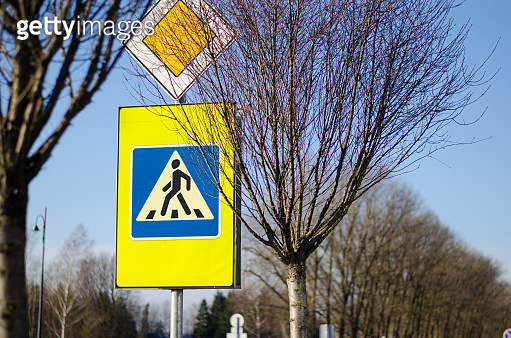 road sign pedestrian crossing and intersection (519726513) - 게티이미지뱅크