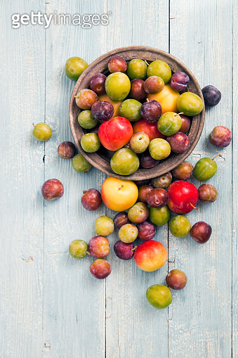 Fresh mixed plums 이미지 (471434315) - 게티이미지뱅크