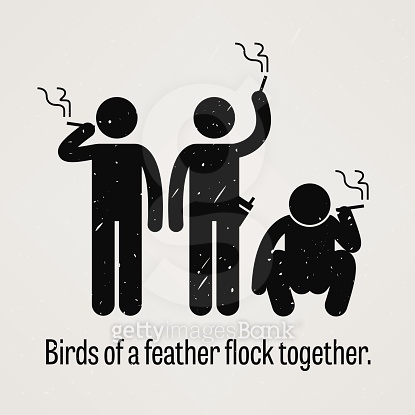 Birds of a Feather Flock Together 이미지 (467037040) - 게티이미지뱅크