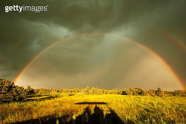 Rainbow over an African Bush Botswana 이미지 (483583766) - 게티이미지뱅크