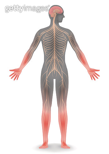 human body silhouette and sensitivity to cold 이미지 (610585962) - 게티이미지뱅크