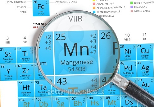 Manganese symbol - Mn. Element of the periodic table zoomed (516796774 ...