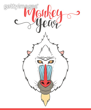 Lettering calligraphy with monkey. Happy monkey year. Modern lettering ...