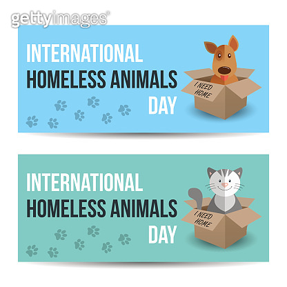 Horizontal banner for International homeless animals day. Cat and dog ...