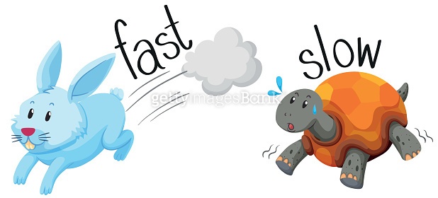 Rabbit runs fast and turtle runs slow (508818020) 일러스트, 무료 일러스트 - 게티이미지뱅크