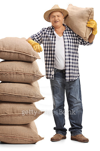 Mature farmer holding burlap sack and leaning on sacks 이미지 (623209978 ...