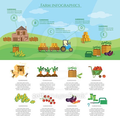 Farm infographics set natural food agricultural objects farming 이미지 ...