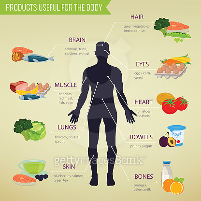 Healthy food for human body. Healthy eating infographic. Healthy ...
