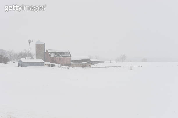 Blizzard snowstorm and rural farm buildings 이미지 (612268554) - 게티이미지뱅크