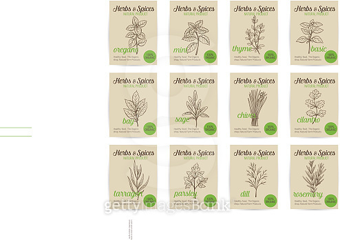 Vector hand drawn culinary herbs and spices posters set. 이미지 (612005676 ...