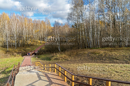 Footpath crossing a shallow ravine in the forest park. (527229810) - 게티 ...