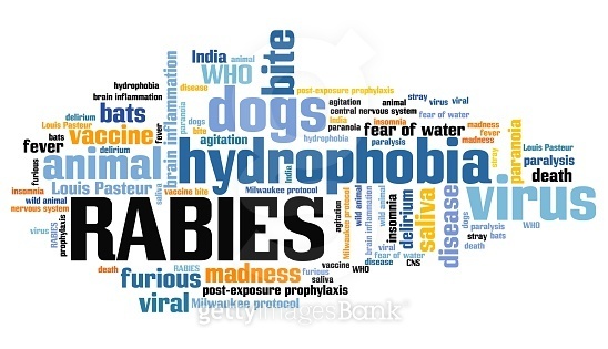 Rabies word cloud (596363250) - 게티이미지뱅크
