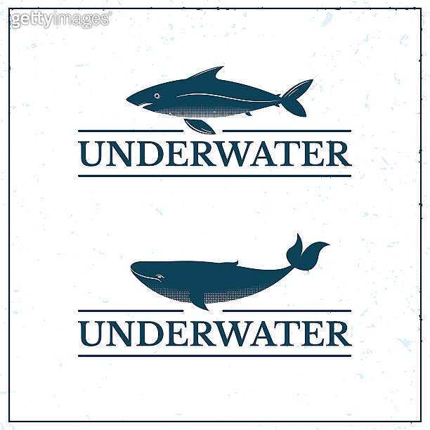 Underwater oceanarium logo, vector illustration 이미지 (504339388) - 게티이미지뱅크