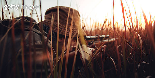 Hunter with rifle laying in long grass and concentrating on (582295746 ...
