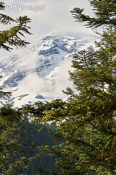Mt Rainier in Washington, USA 이미지 (584873470) - 게티이미지뱅크