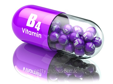 Vitamin B4 capsule or pill. Dietary supplements. 3d illustration 이미지 ...