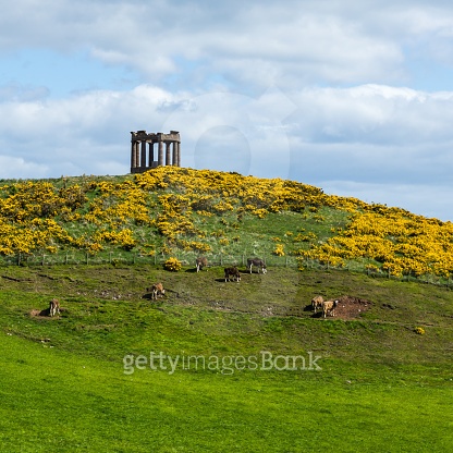 Stonehaven Monument 이미지 (540866260) - 게티이미지뱅크