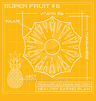 construction style diagram line drawing of a pineapple cross-section ...