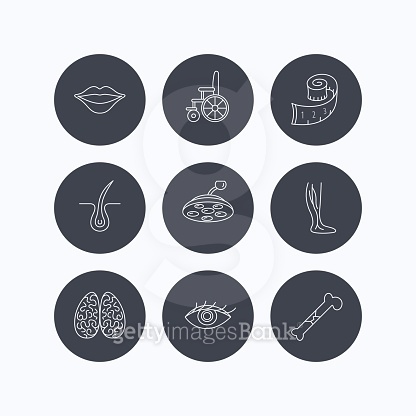 Eye, neurology brain and vein varicose icons. (530001528) 일러스트, 무료 일러스트 ...