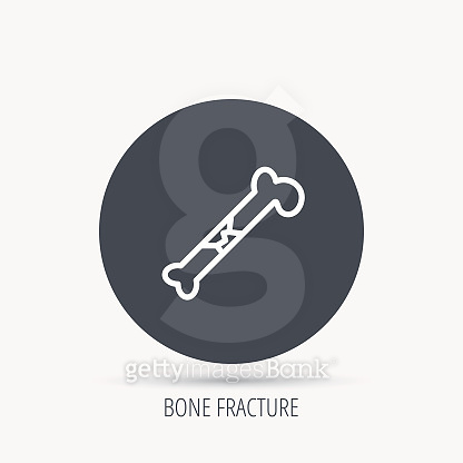 Bone fracture icon. Traumatology sign. 이미지 (626098374) - 게티이미지뱅크