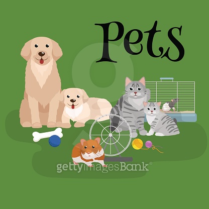 Home pets set, cat dog parrot goldfish hamster, domesticated animals ...