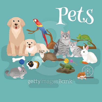 Home pets set, cat dog parrot goldfish hamster, domesticated animals ...