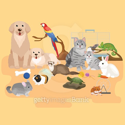 Home pets set, cat dog parrot goldfish hamster, domesticated animals ...