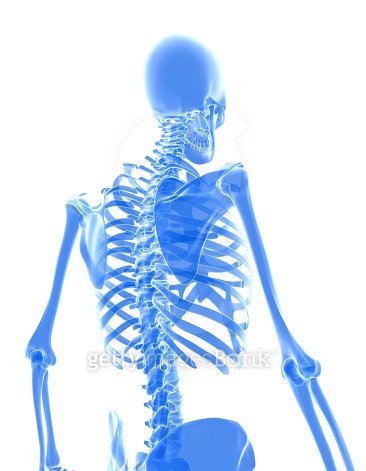 3D illustration of shiny blue skeleton system. (538873346) - 게티이미지뱅크
