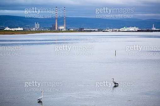 View of Poolbeg Towers from Clontarf (533456106) - 게티이미지뱅크