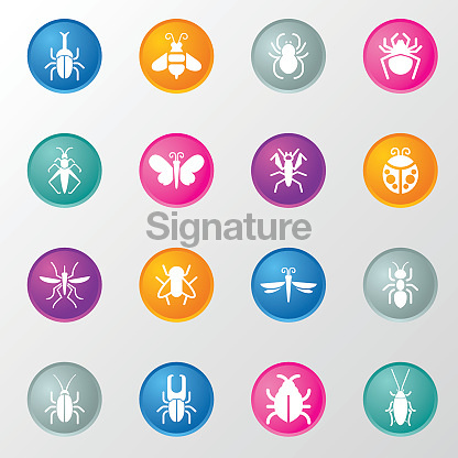 Insects And Bugs Circle Color Icons 이미지 (623097612) - 게티이미지뱅크