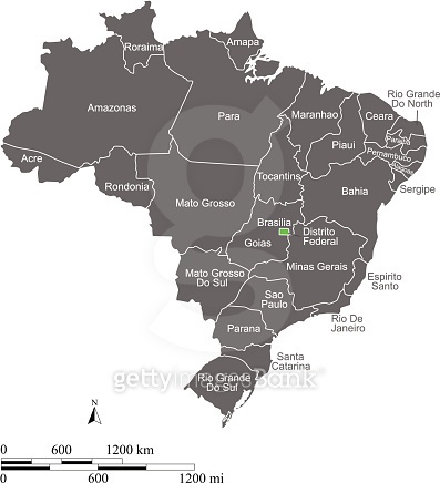 Brazil map vector outline with scales and states or provinces ...