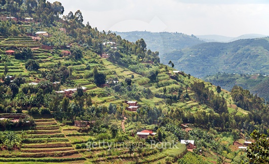 Houses and terraces against a hill in Rwanda 이미지 (541567154) - 게티이미지뱅크