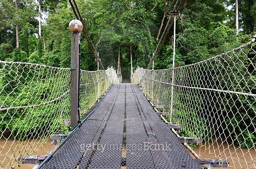 Segama Suspension Bridge, Danum Valley, Sabah Borneo, Malaysia 이미지 ...