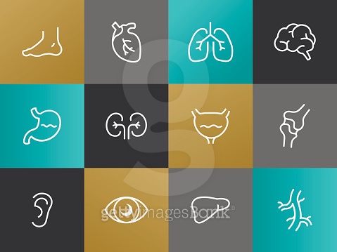 Single Line Body Parts Pictograms Set 이미지 (520287654) - 게티이미지뱅크