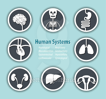 Human Systems Icon . ( Neurological . Musculoskeleton ...